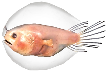 Angler Larvae | Elder Scrolls | Fandom