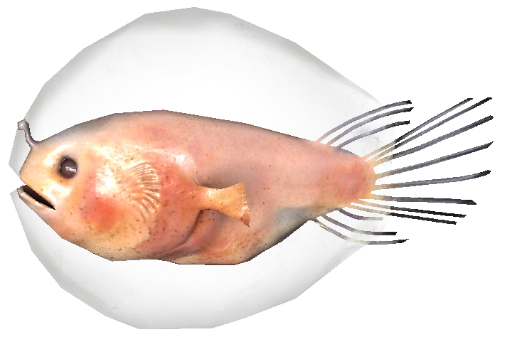 Angler Larvae | Elder Scrolls | Fandom