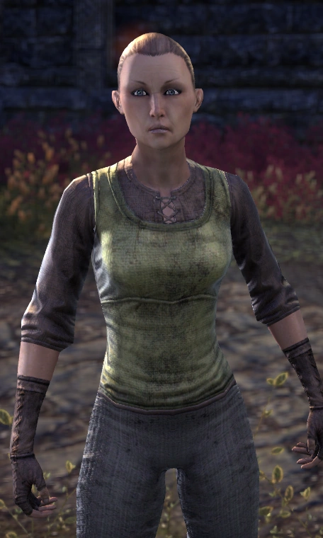 Chalwyn la Harfang | Wiki The Elder Scrolls | Fandom