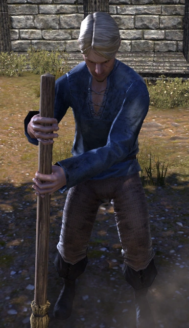 Brice Jerick | Wiki The Elder Scrolls | Fandom