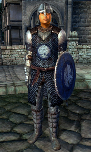 Chorrol Soldier | Elder Scrolls | Fandom