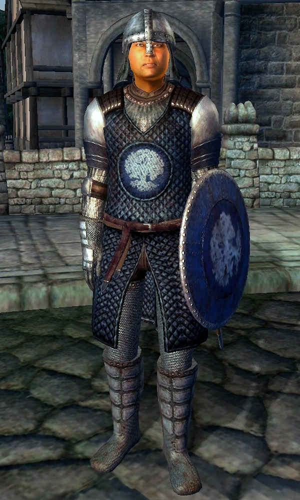 Chorrol Soldier | Elder Scrolls | Fandom