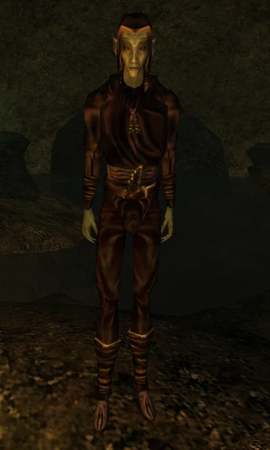 Dravynea Fatheran | Elder Scrolls | Fandom