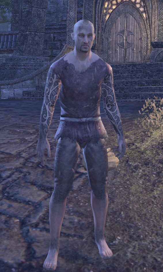 Nedasilf Too-Bold | Elder Scrolls | Fandom