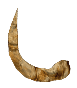 Pinarus' Prize Minotaur Horn | Elder Scrolls | Fandom