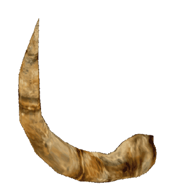 Minotaur Horn | Elder Scrolls | Fandom