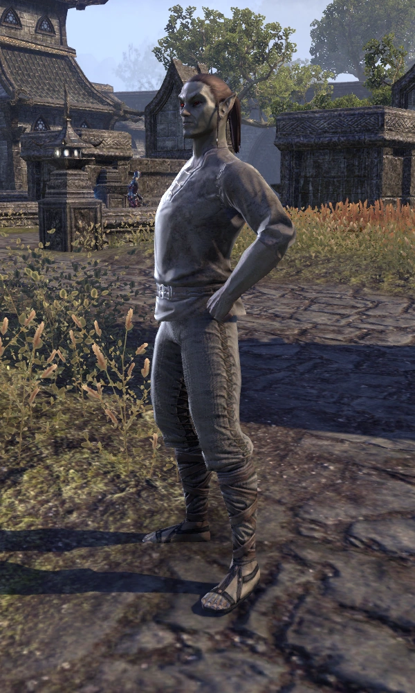 Veneval Dreth | Elder Scrolls | Fandom