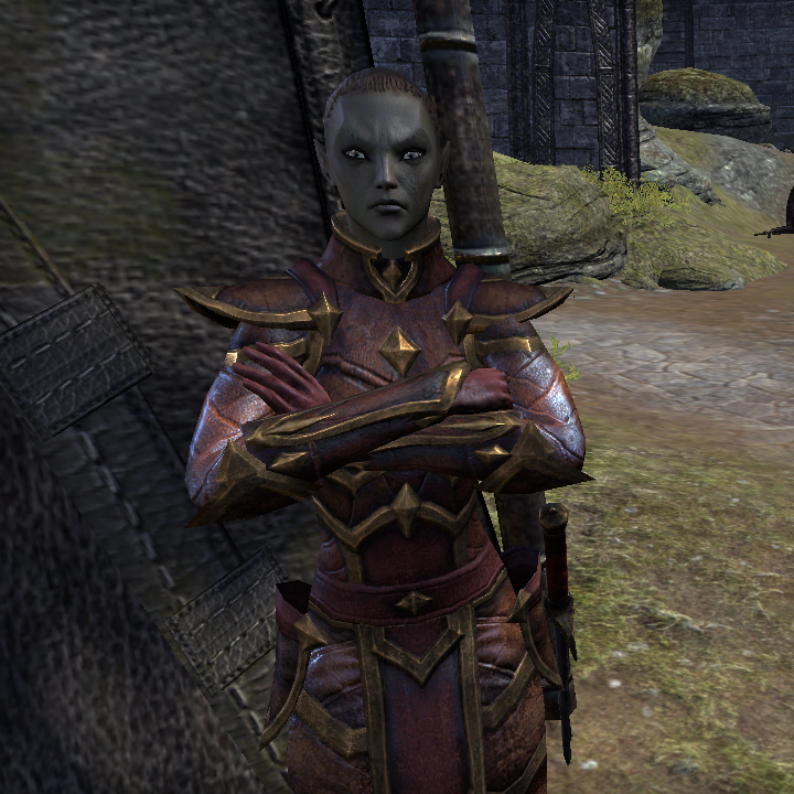 Капитан Вераним The Elder Scrolls Wiki Fandom