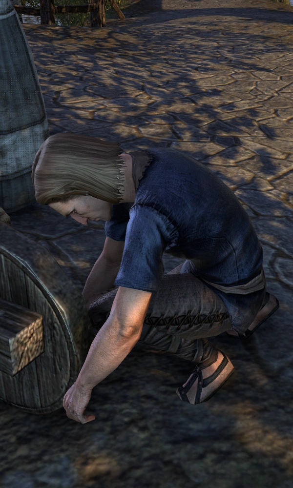 Larus Fonteius | Elder Scrolls | Fandom