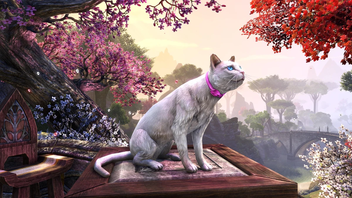 Milady's Cloud Cat | Elder Scrolls | Fandom