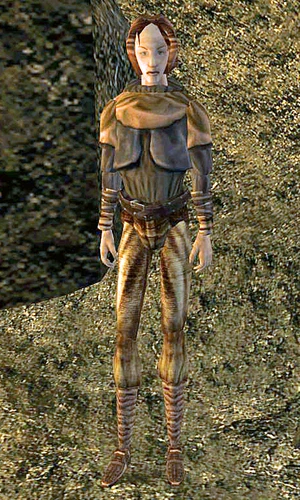 Miner Lisaa | Elder Scrolls | Fandom