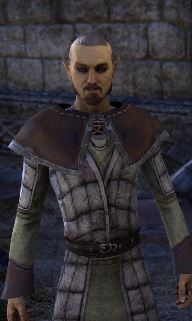 Amuur | Wiki The Elder Scrolls | Fandom