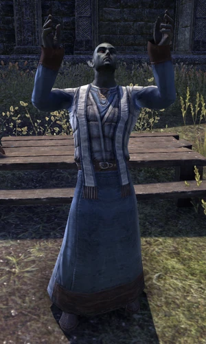 Belvo | Elder Scrolls | Fandom