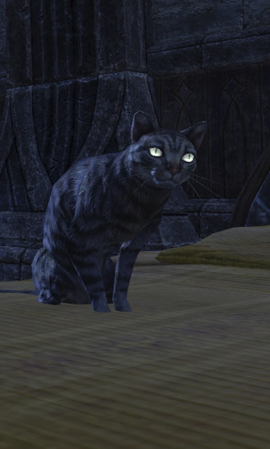 Nim | Elder Scrolls | Fandom