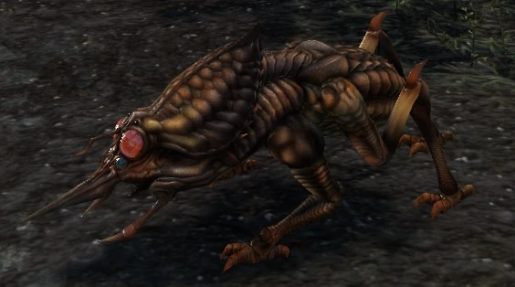 Nix-Hound (Online) | Elder Scrolls | Fandom