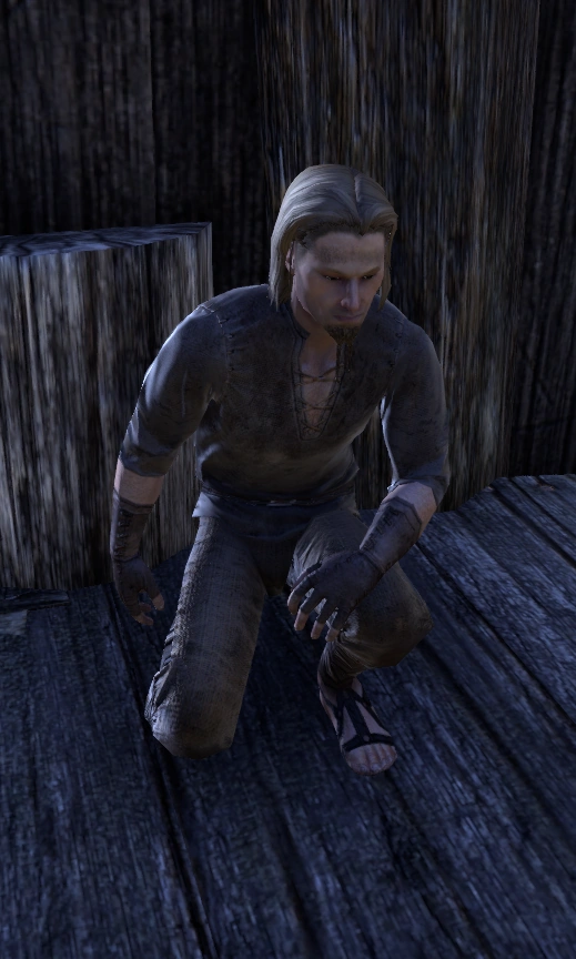 Thibaut | Wiki The Elder Scrolls | Fandom