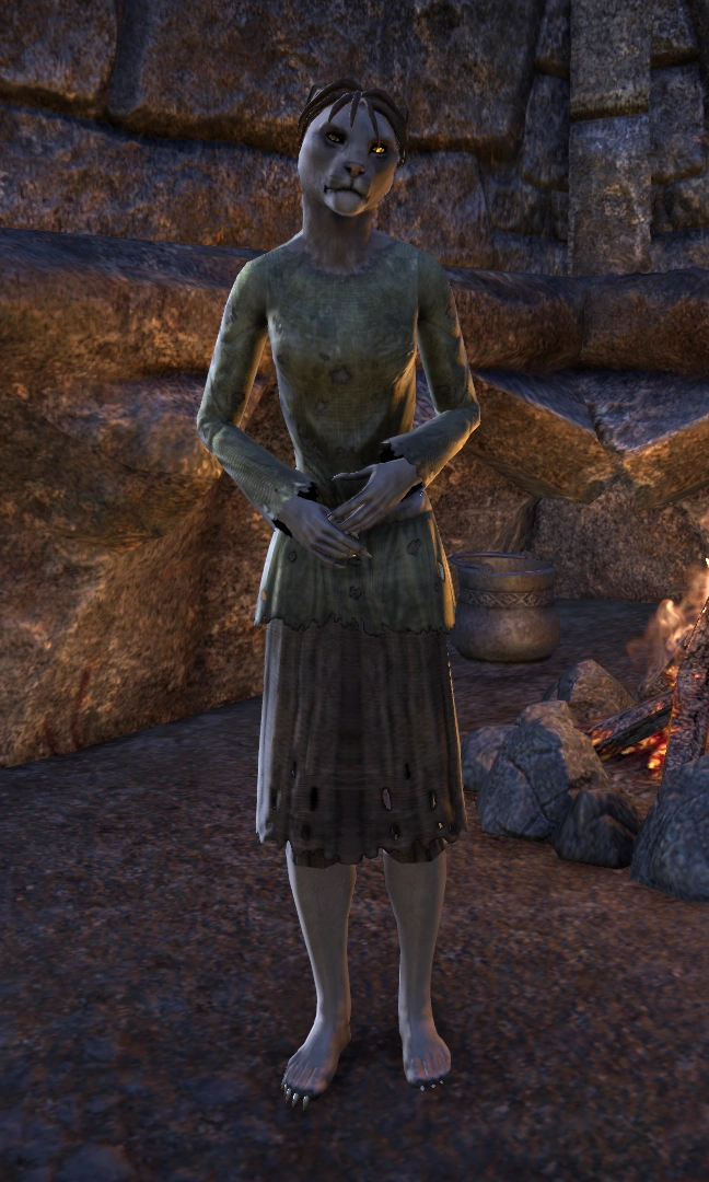 Zarri | Wiki The Elder Scrolls | Fandom