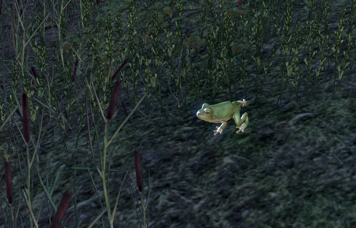 Frog (Online) | The Elder Scrolls Wiki | Fandom
