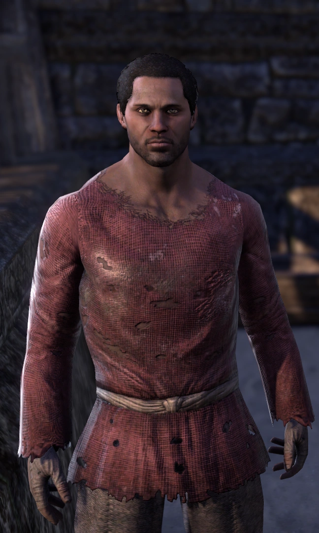 Basir | Wiki The Elder Scrolls | Fandom