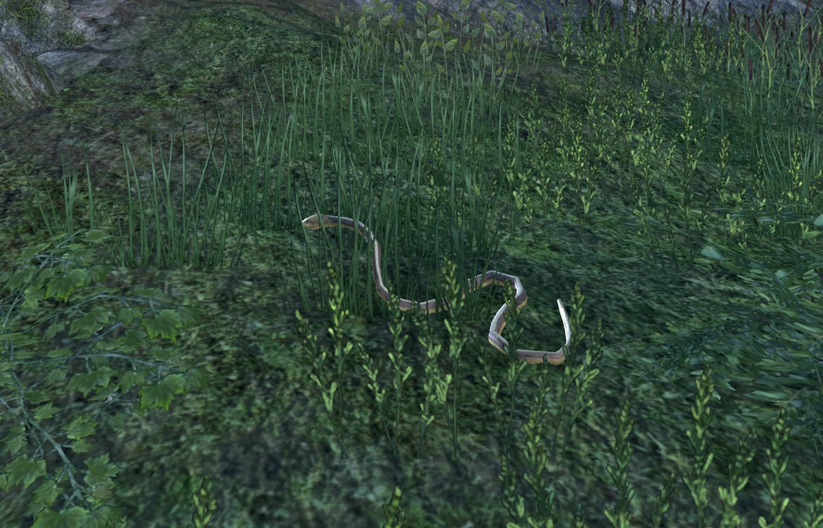 Snake | Elder Scrolls | Fandom