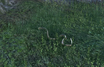 Snake | Elder Scrolls | Fandom