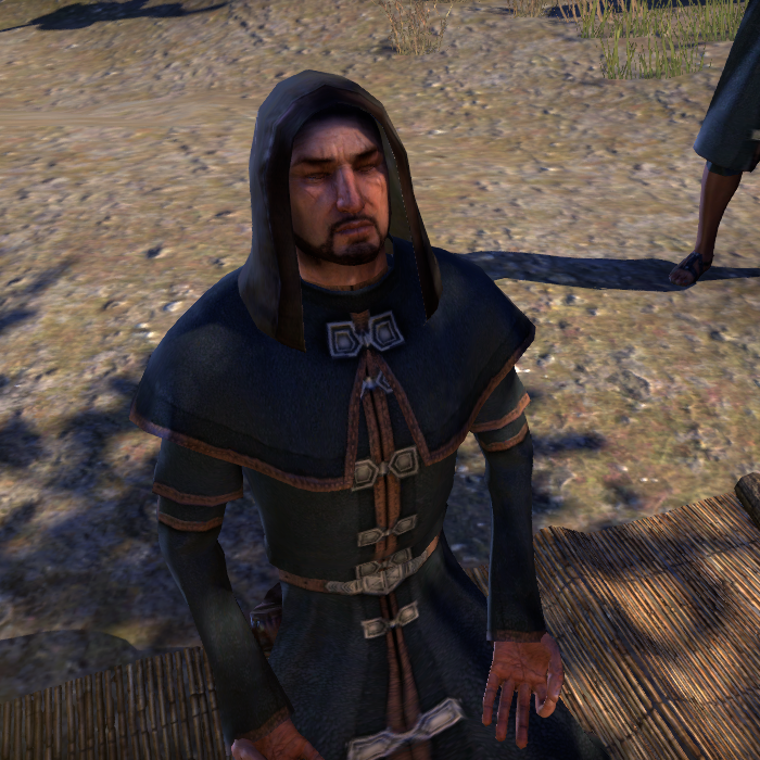 Ревнитель Зенитара The Elder Scrolls Wiki Fandom