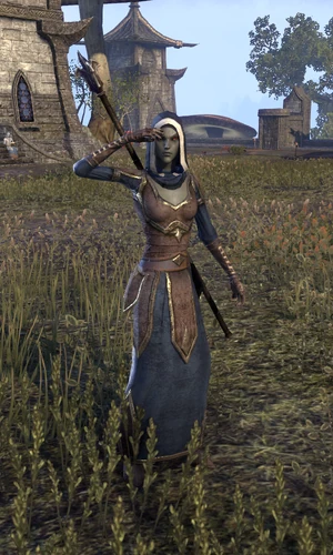 Instructor Rironi | Elder Scrolls | Fandom