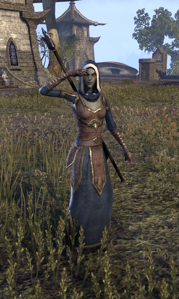 Instructor Rironi | Elder Scrolls | Fandom