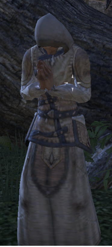 Mirnor Of Auri El Elder Scrolls Fandom