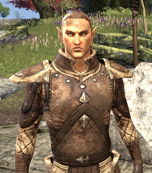 Sorondil Elder Scrolls Fandom