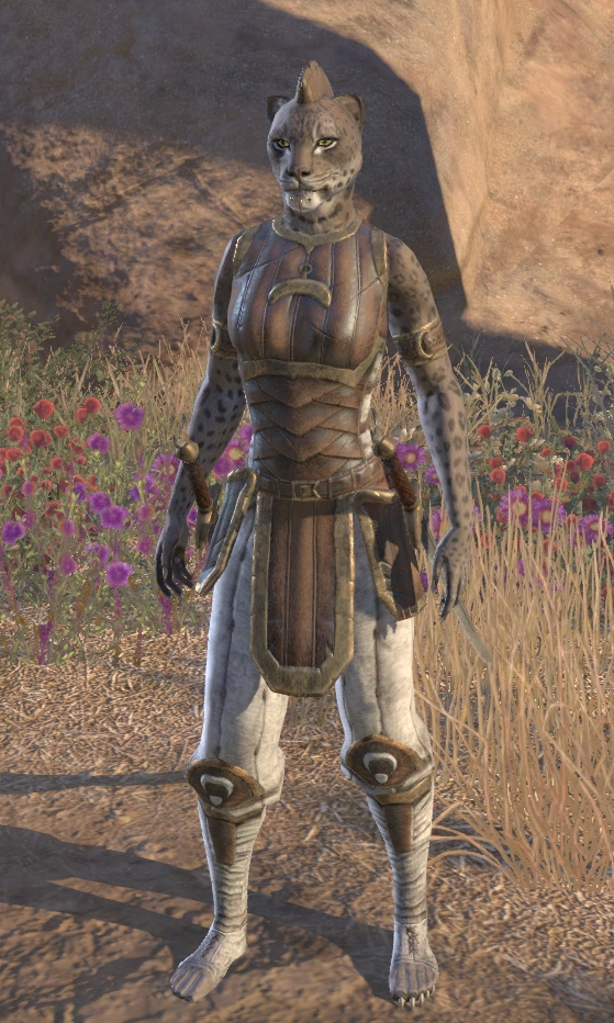 Sulema | Elder Scrolls | Fandom
