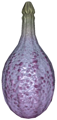Alocasia Fruit (Skyrim Creation Club) | Elder Scrolls | Fandom