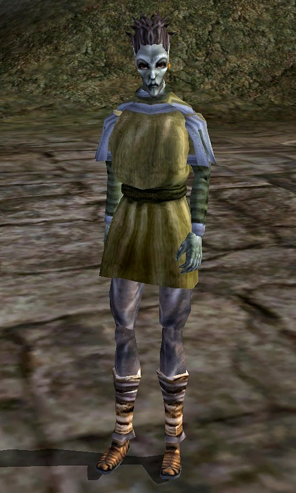 Balyn Omavel | Elder Scrolls | Fandom