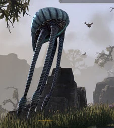 Netch (Online) | Elder Scrolls | Fandom