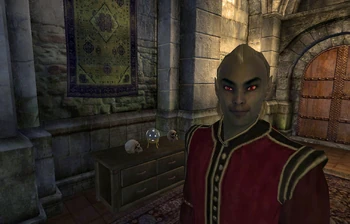 Bravil Recommendation | Elder Scrolls | Fandom