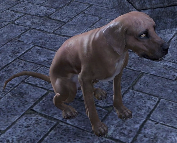 Lorkhan (Dog) | Elder Scrolls | Fandom