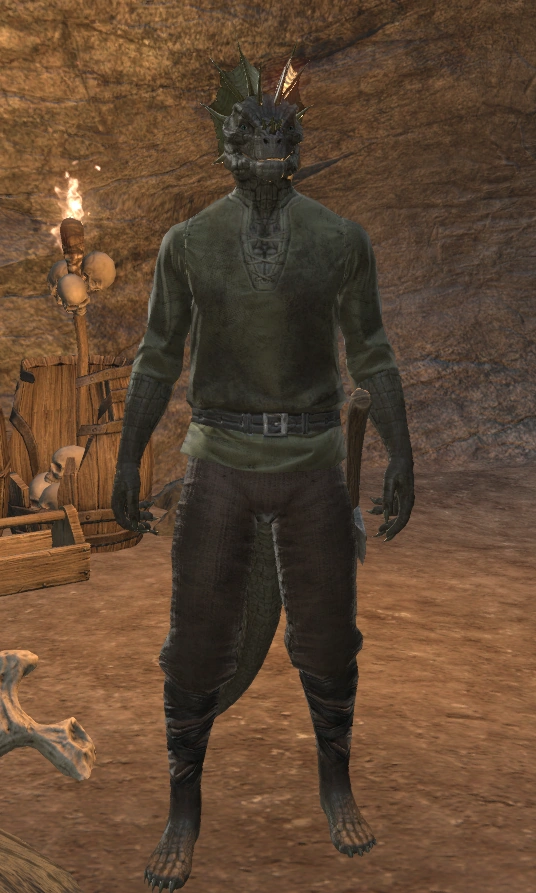 Jaree-Eeto | Elder Scrolls | Fandom