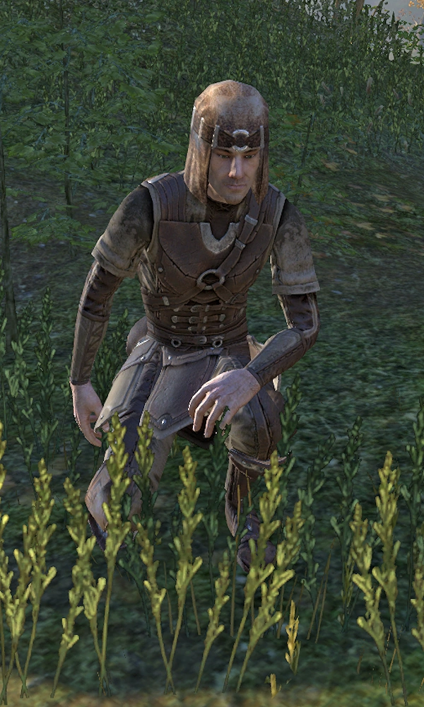 Armel Remly | Elder Scrolls | Fandom