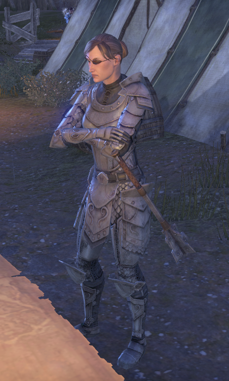 Knight Commander Cheryline Elder Scrolls Fandom