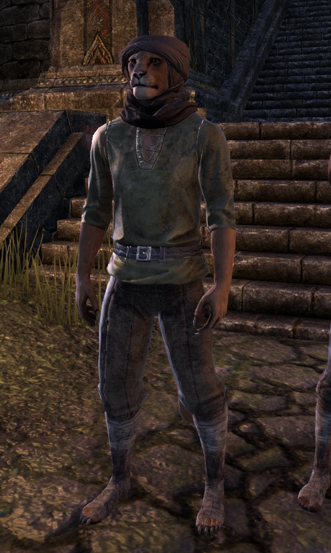 Nulk | Wiki The Elder Scrolls | Fandom