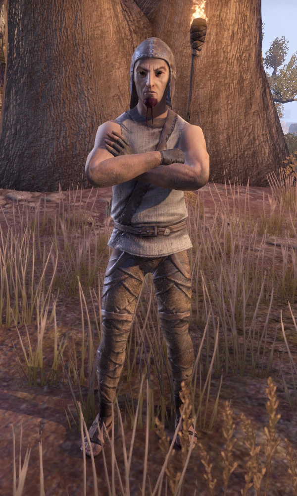 Rodaegaer | Elder Scrolls | Fandom