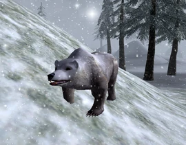 The Ritual of Beasts | Elder Scrolls | Fandom