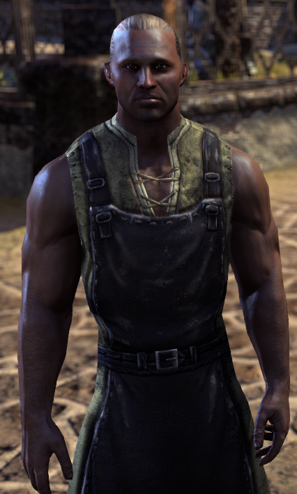Apprenti Artisan Roccan Wiki The Elder Scrolls Fandom