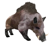 Boar | Elder Scrolls | Fandom