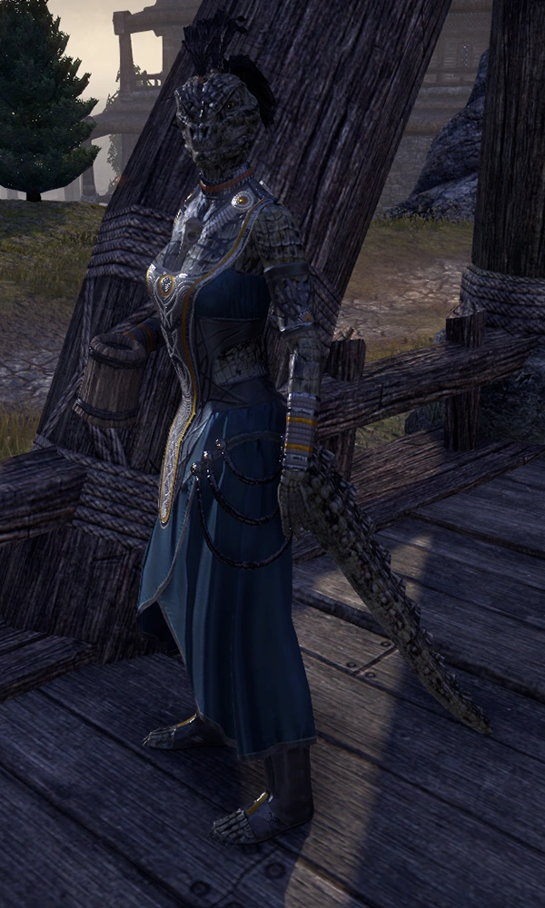 Gin-Wan | Elder Scrolls | Fandom