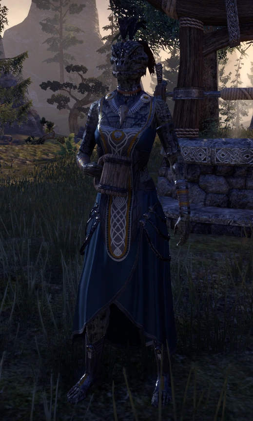 Gin-Wan | Wiki The Elder Scrolls | Fandom