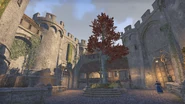 Leyawiin (Online) | Elder Scrolls | Fandom