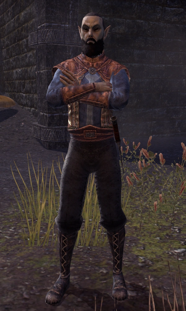 Sendel Droth | Elder Scrolls | Fandom