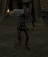 Creatures (Bloodmoon) | Elder Scrolls | Fandom