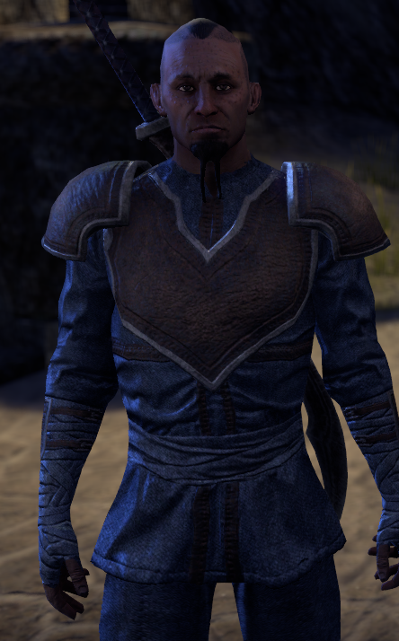 Garde Dhunding Wiki The Elder Scrolls Fandom